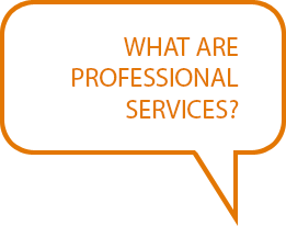Professional Services